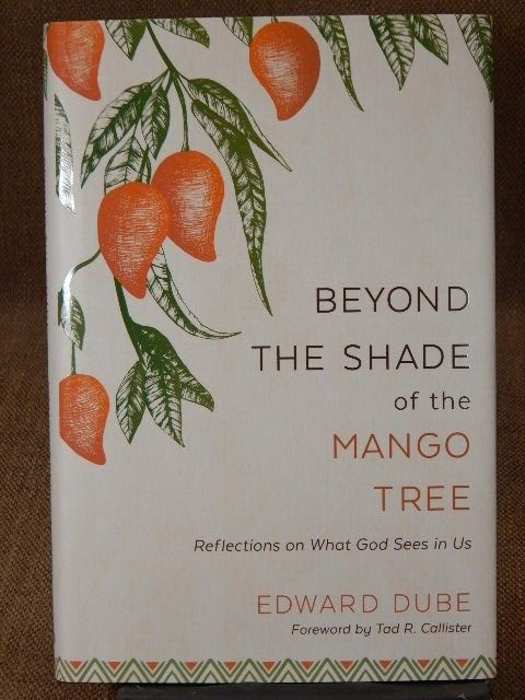 Beyond the Shade of the Mango Tree : Reflections on What God Sees in Us ...