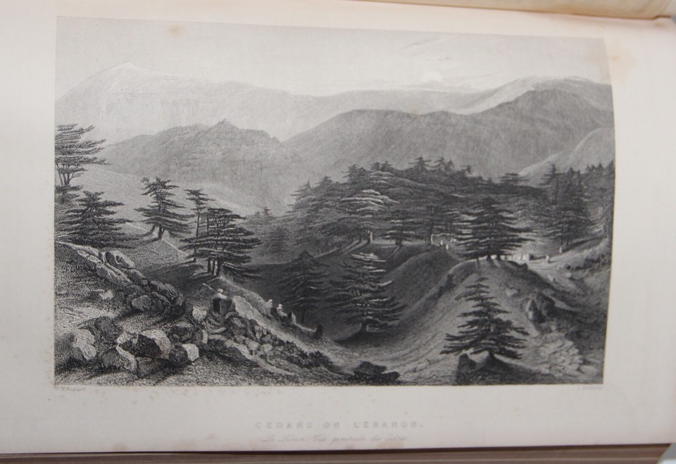 1861 Bible Family Illustrated Plates | eBay UK