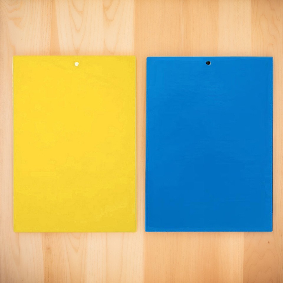 100 Pack Bugs Sticky Board Double Sided Sticky Trap for Gnats Bugs ...