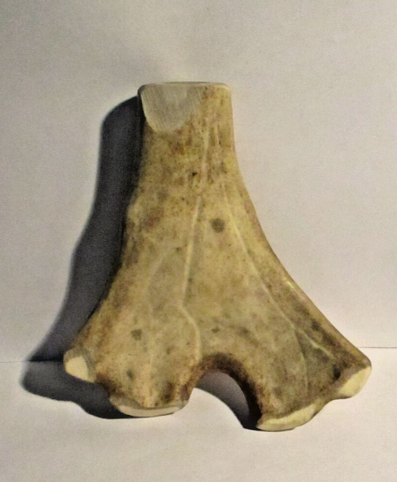 2 Alaska Inuit Eskimo Skinning Scraper Fish Fillet Knife Knives Antler ...