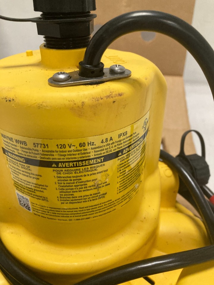 Wayne Water Bug Submersible Utility Pump, 0.16hp Indoor/Outdoor Water ...