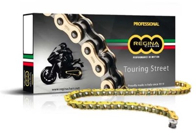 Chain REGINA 136ZRT Gold Suzuki GS 550 E 550 1978 1982 | eBay Australia