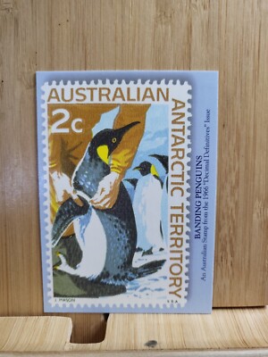 Australia Post Stamp Facts🏆Series 1 1996 #38 PENGUINS Stamp Card🏆 ...