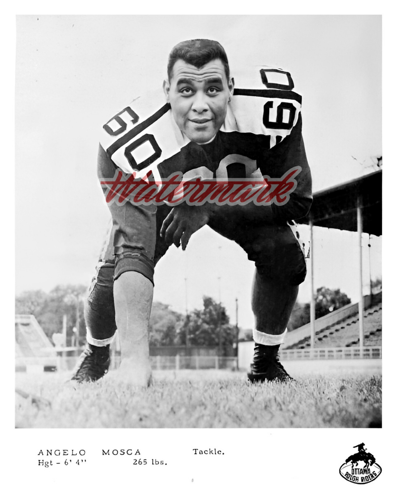 CFL 1961 Angelo Mosca Ottawa Rough Riders REPRINT Black & White 8 X 10 ...