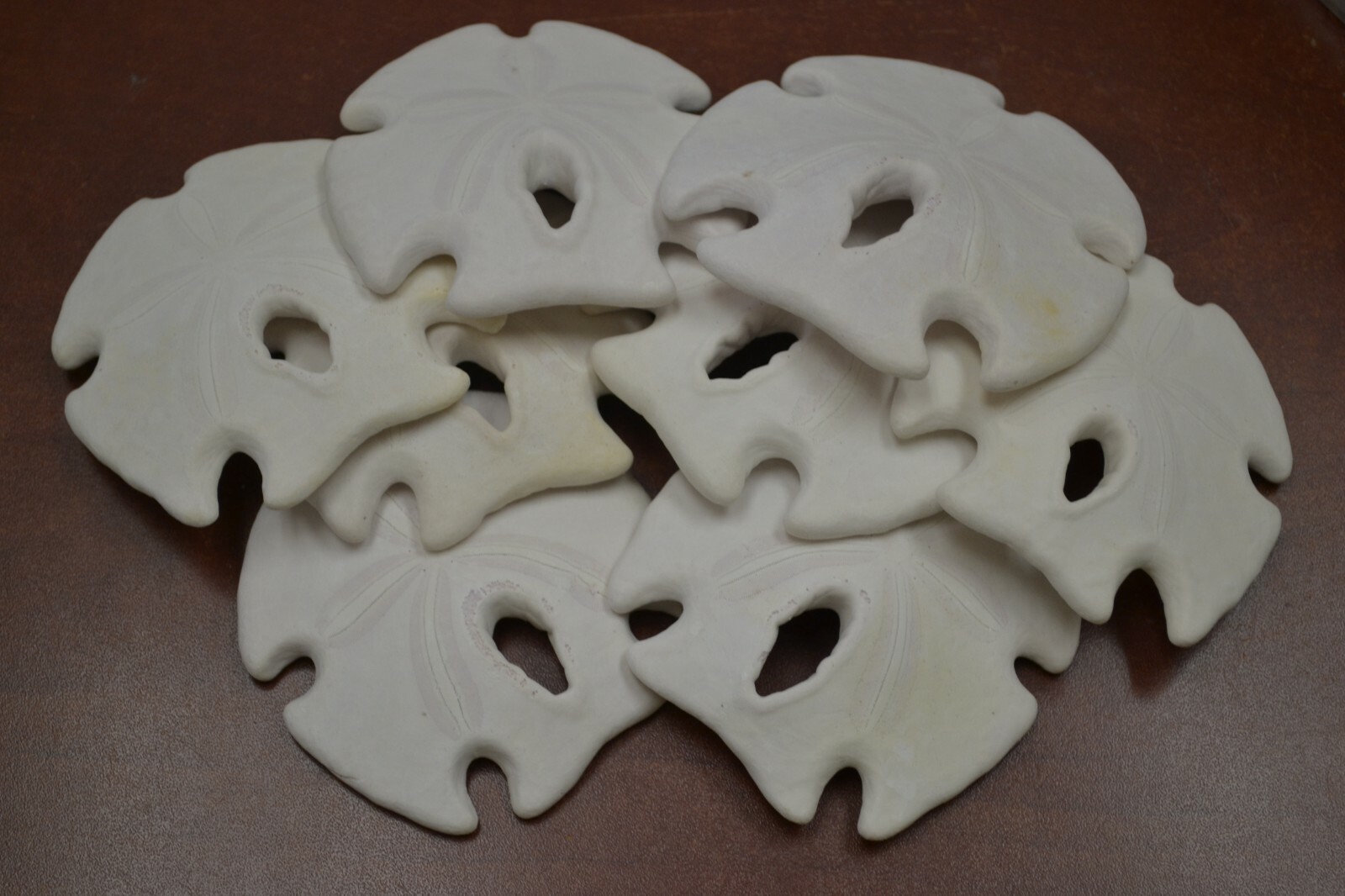 48 PCS WHITE ARROWHEAD SAND DOLLAR SEA SHELL WEDDING BEACH 3 1/2" - 4 ...