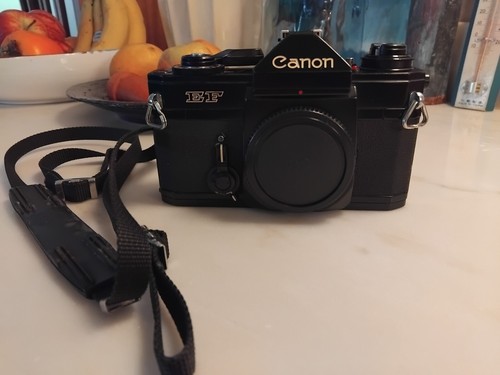 canon ef camera body | eBay