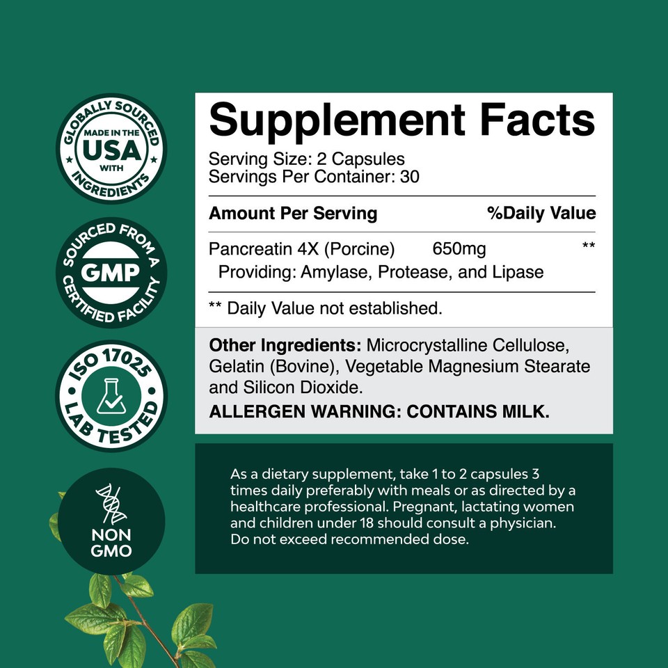 Pancreatin Digestive Enzymes for Digestive Health - Protease Amylase ...