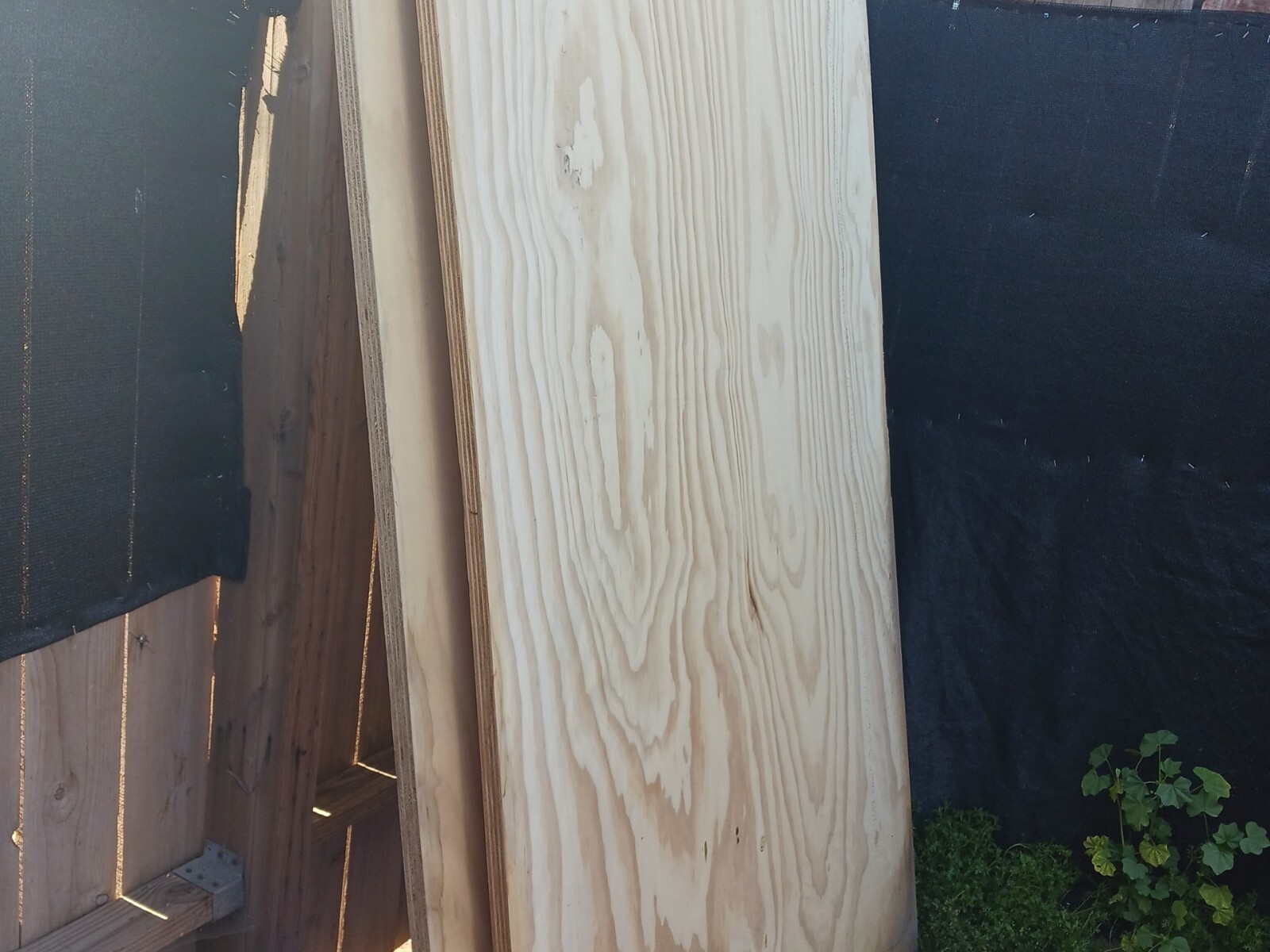 4 x 8 x 1 & 1/4 In. sheets of plywood. | eBay