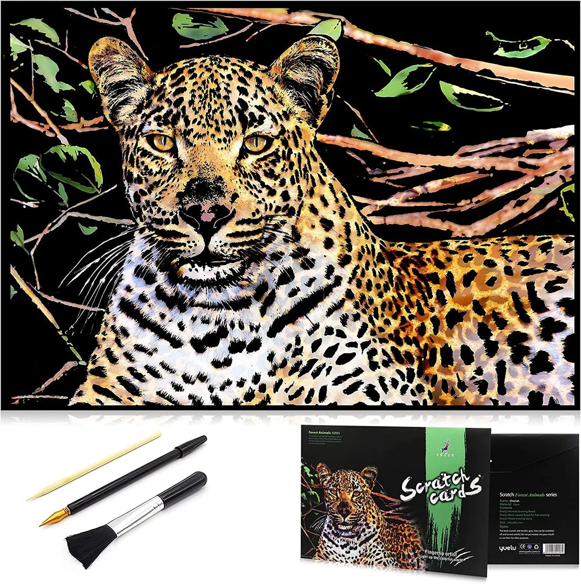 Scratch Art Animals