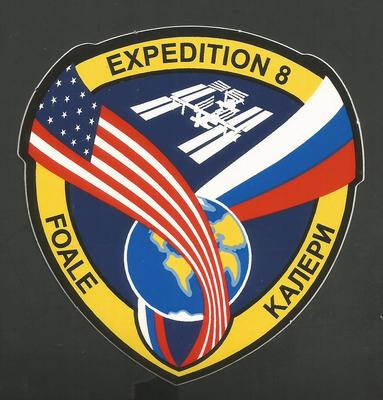NASA EXPEDITION 8 DECAL STICKER 4" | eBay