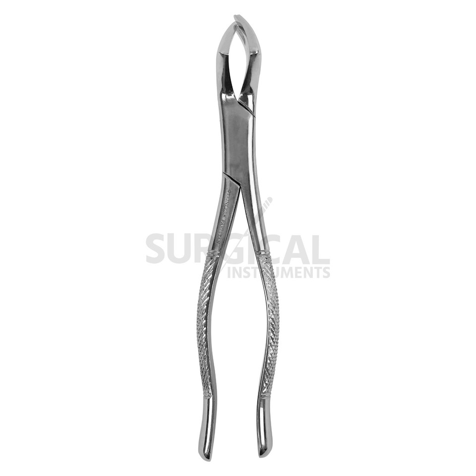 Extracting Forceps #88L Dental Surgical Instruments Stainless Steel ...