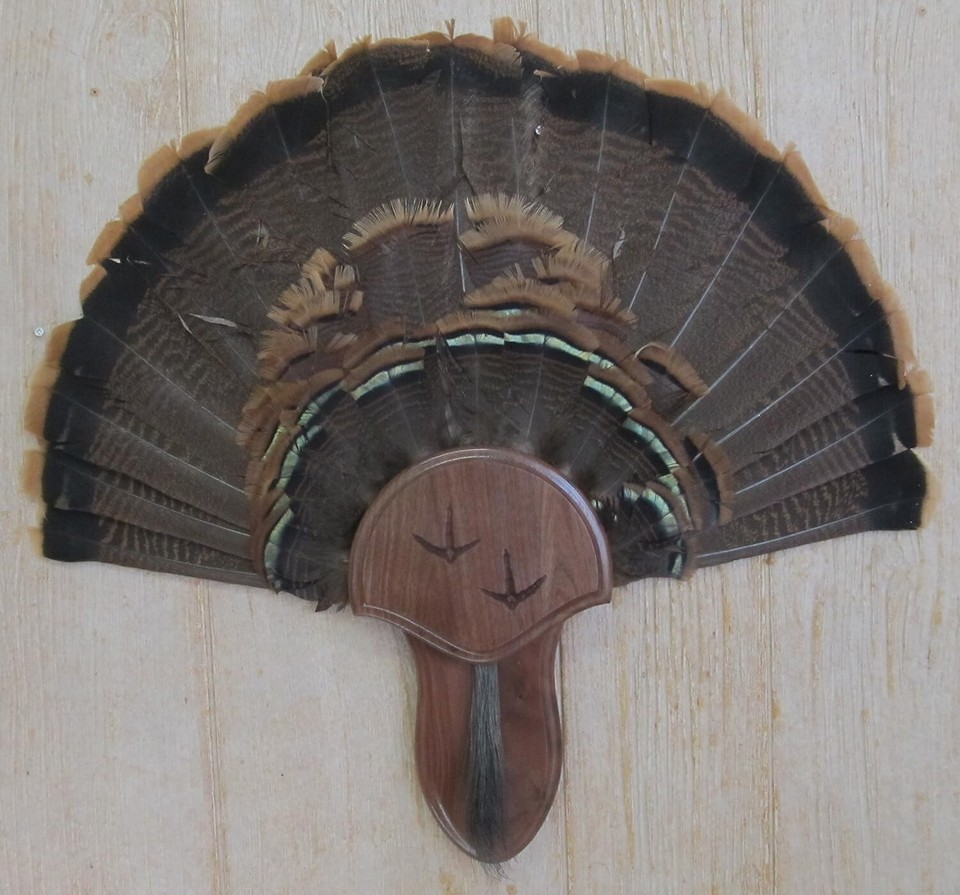 Wood Turkey Mounting Kit Carved Turkey Tracks Easy to Mount Display | eBay
