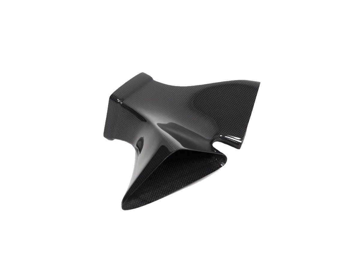 ENTR?E D'AIR CENTRALE ILMBERGER CARBONE POLI POUR PANIGALE V4 RACE 2018 ...