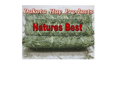 Natures Best First Cut Timothy Hay 5 - 2.5 Pound Bales | eBay