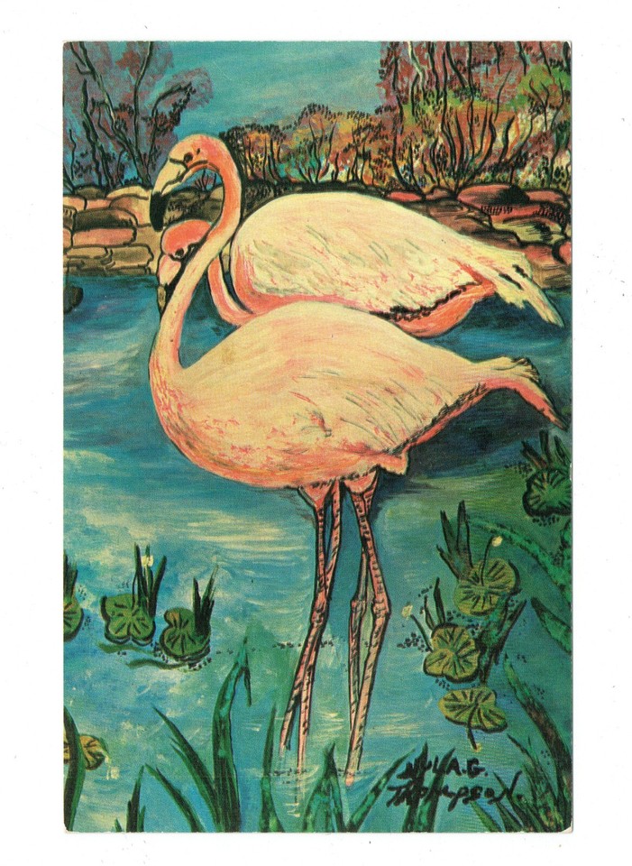 Postcards/Photos Vin (2)Repro/Mouth Artist Nyla Thompson Deer/Flamingos ...