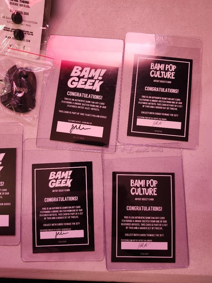 MIP- Lot of 22 misc. Bam Box/ Boo Box/Loot/ Enamel Pins and # collector ...