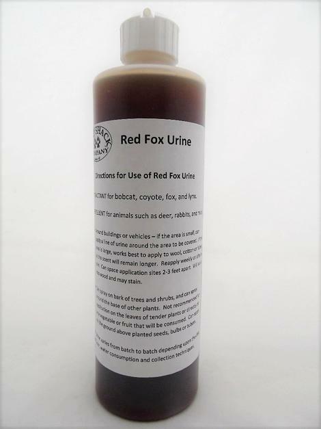 Fresh 100% Pure Fox Urine 100% Red Fox urine trapping snares (Choice of ...