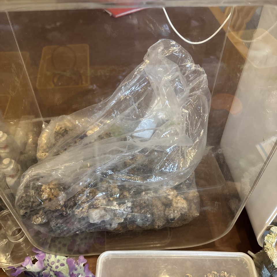 Bio Orb 15l Fish Tank | eBay UK