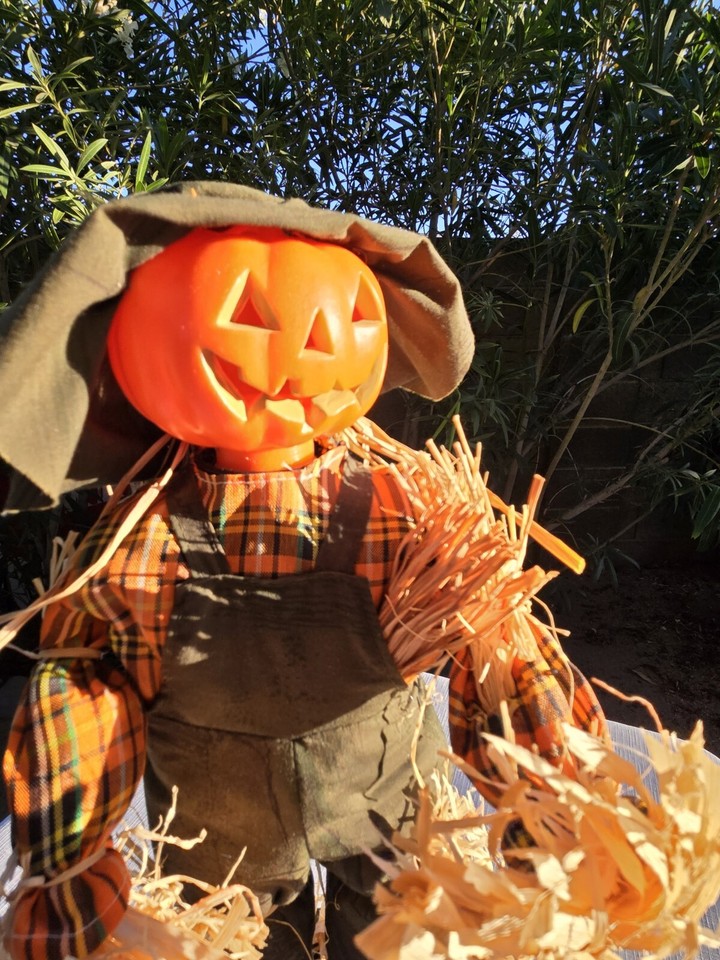 Vintage Halloween Gemmy Animated Scarecrow Pumpkin Head | eBay
