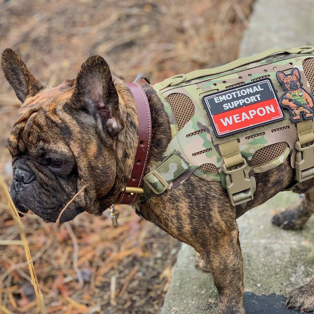 Emotional Support Weapon Morale Patch | eBay