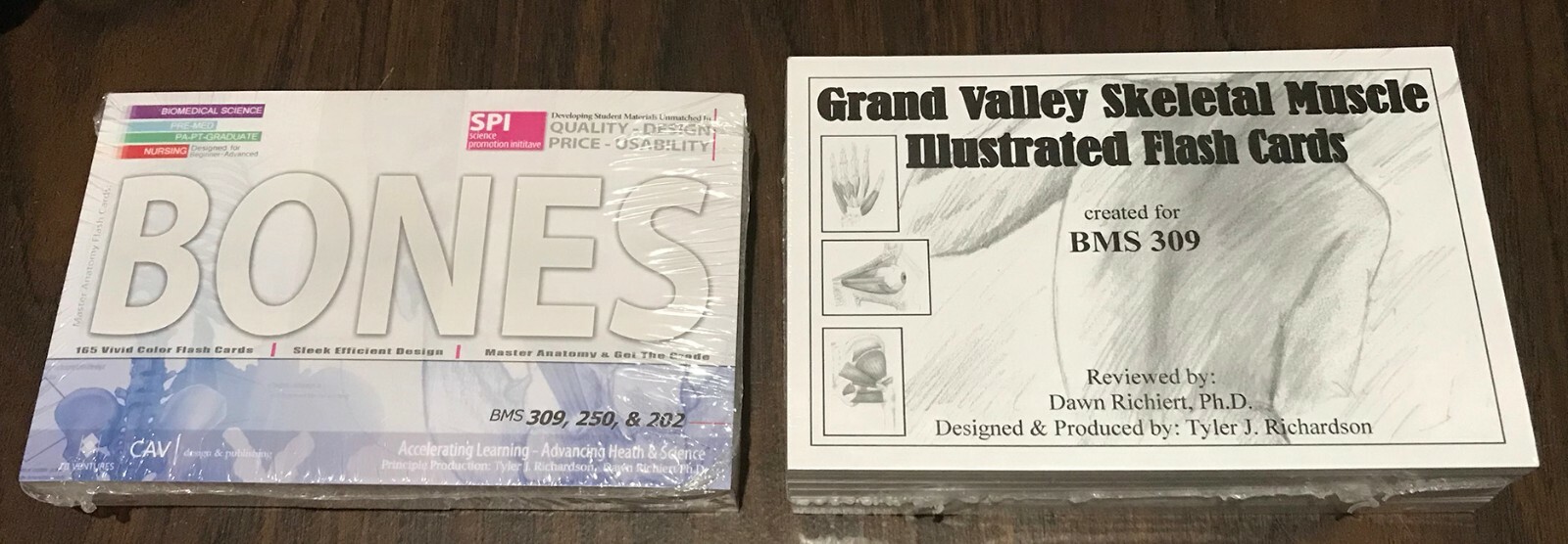 2 New Flash Card Sets: SPI BONES 165 Vivid Color & Skeletal Muscle ...