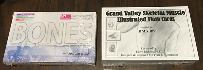 2 New Flash Card Sets: SPI BONES 165 Vivid Color & Skeletal Muscle ...