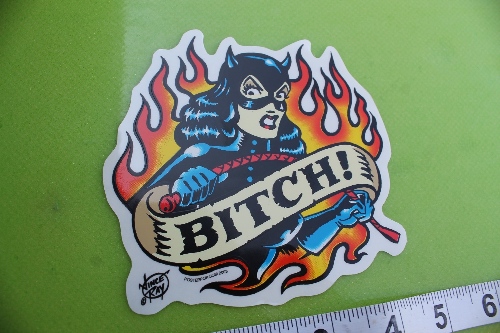 Bitch Cat Woman S&M Fire VINCE RAY Pop Art Surfing Skateboarding Racing ...