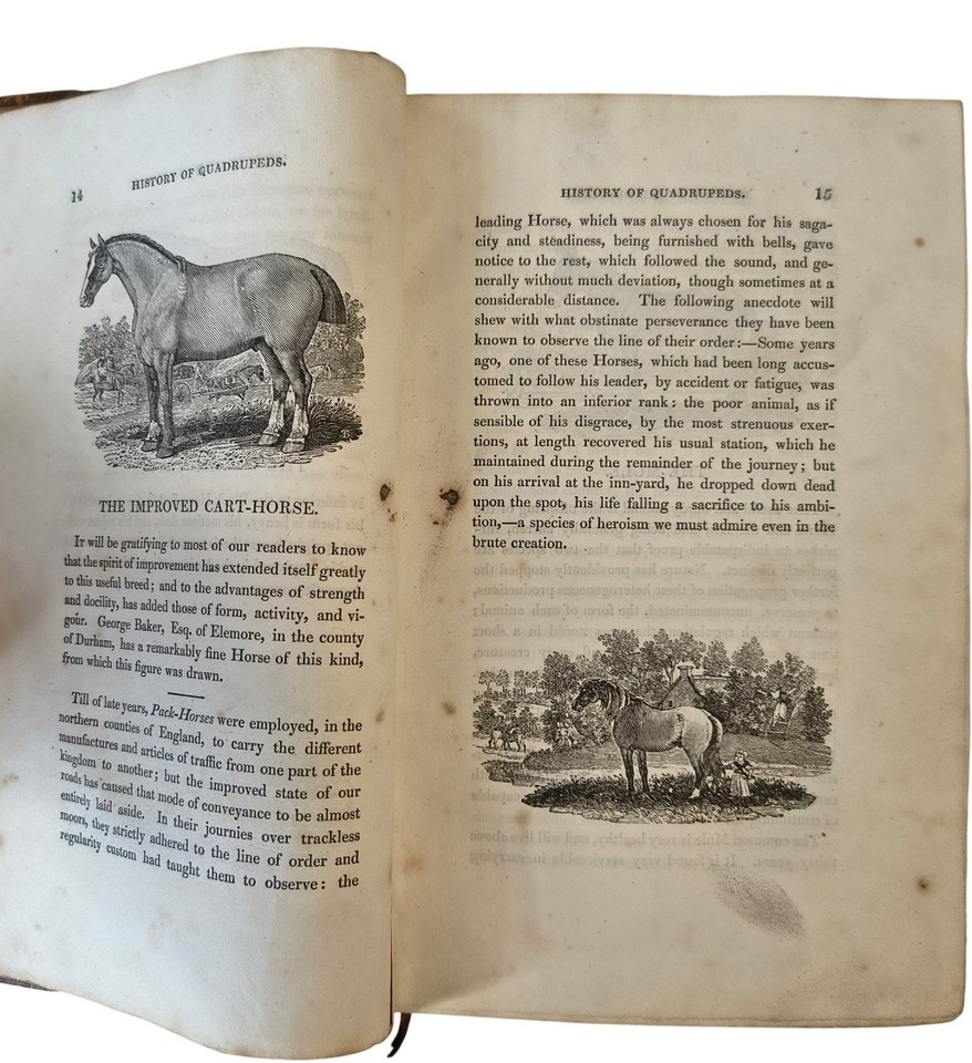 Thomas Bewick A General History of Quadrupeds Leather Binding 1824 | eBay