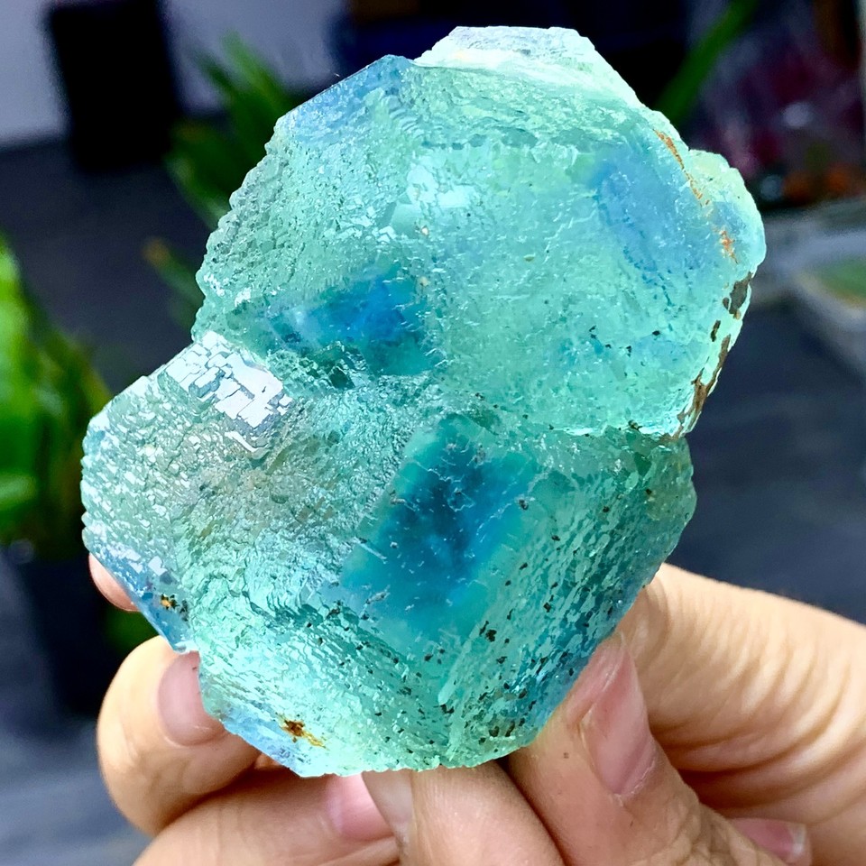 167G Rare transparent blue green cubic fluorite mineral crystal sample ...