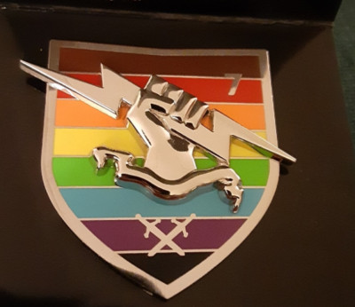Destiny 2 Bungie's Pride True Color Collectible Pin - (NO EMBLEM) | eBay