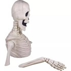 Giant Rattles the Groundbreaking Skeleton Plastic Yard Decorating Kit ...