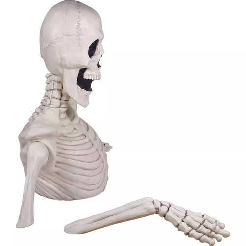 Giant Rattles the Groundbreaking Skeleton Plastic Yard Decorating Kit ...