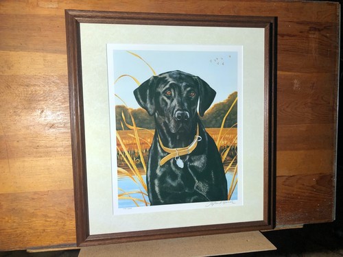 Stephen P Hamrick "Black Lab Sign Number 1736/4000"Art 12"15" Frame 20 ...