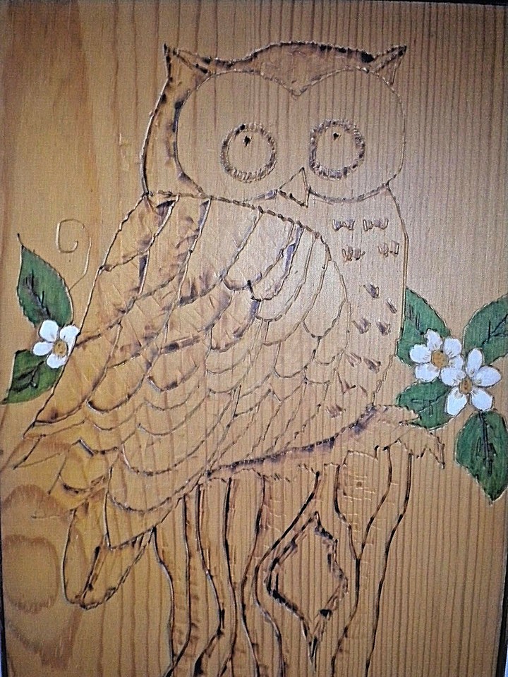 Owl Woodburning Pyrography Rustic Primitive Handcraft Wall Hanging ...