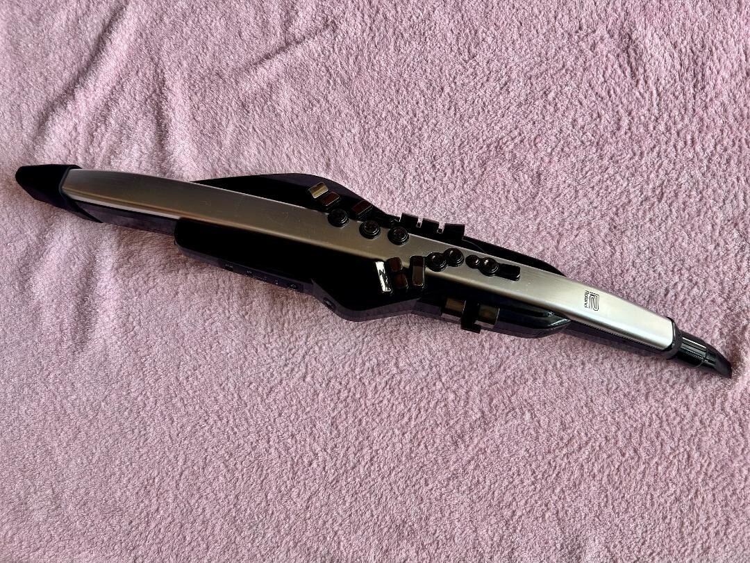 Roland AEROPHONE PRO AE-30 Digital Wind Synthesizer with Accessories ...