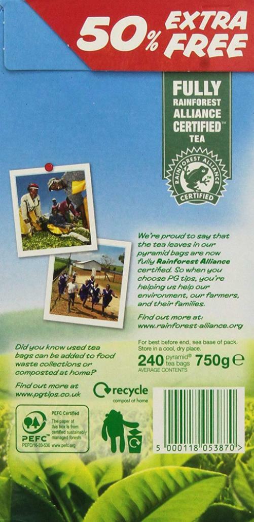 Pg Tips 240 Bags, Pack of 2 (160 Bags +80 Free)- 240 Count (Pack 2 ...