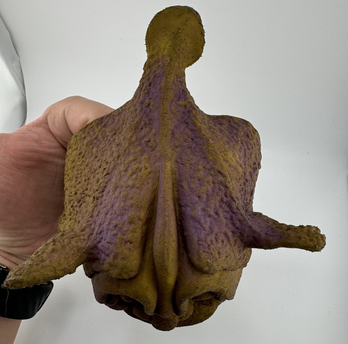 Vintage Boglins Shlurp Toy Small Hand Puppet Figure Seven Towns Rare | eBay