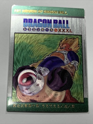 Fat Vegeta Fight Dragon Ball Z XXXL ACG Goddess Story Anime Doujin Art ...