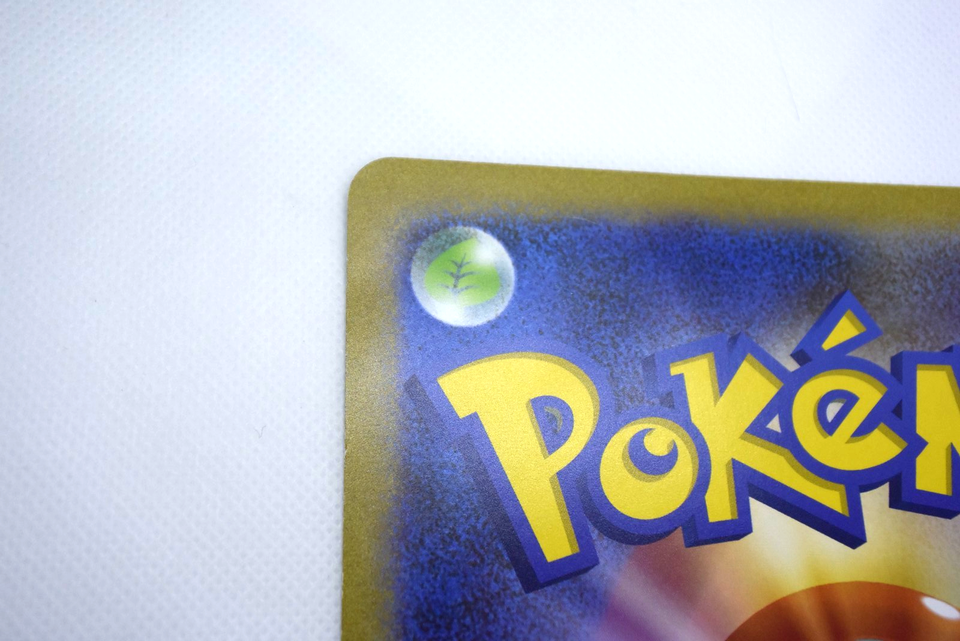 Poke run lun TV's Pikachu and Friends S-P Sword Shield Promo Jumbo ...