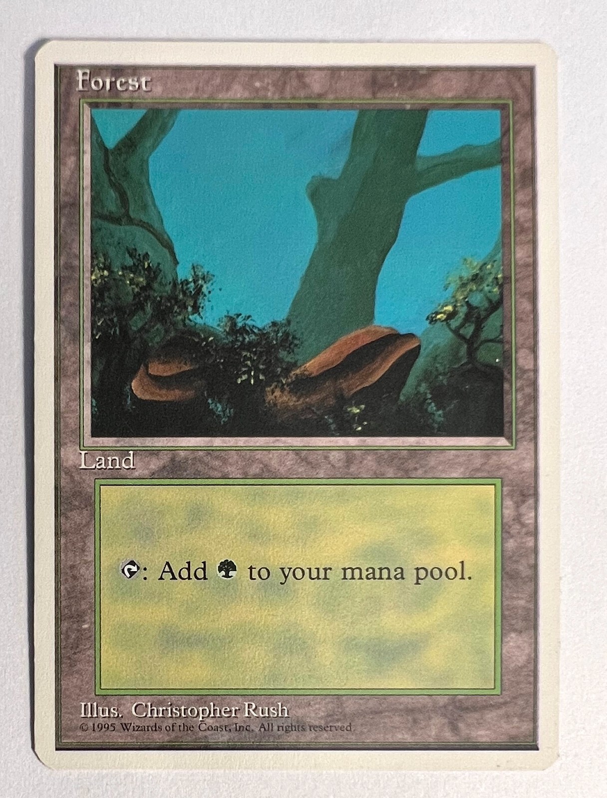 MTG Basic Land FOURTH Edition 4th ED Magic The Gathering All Cards NM ...