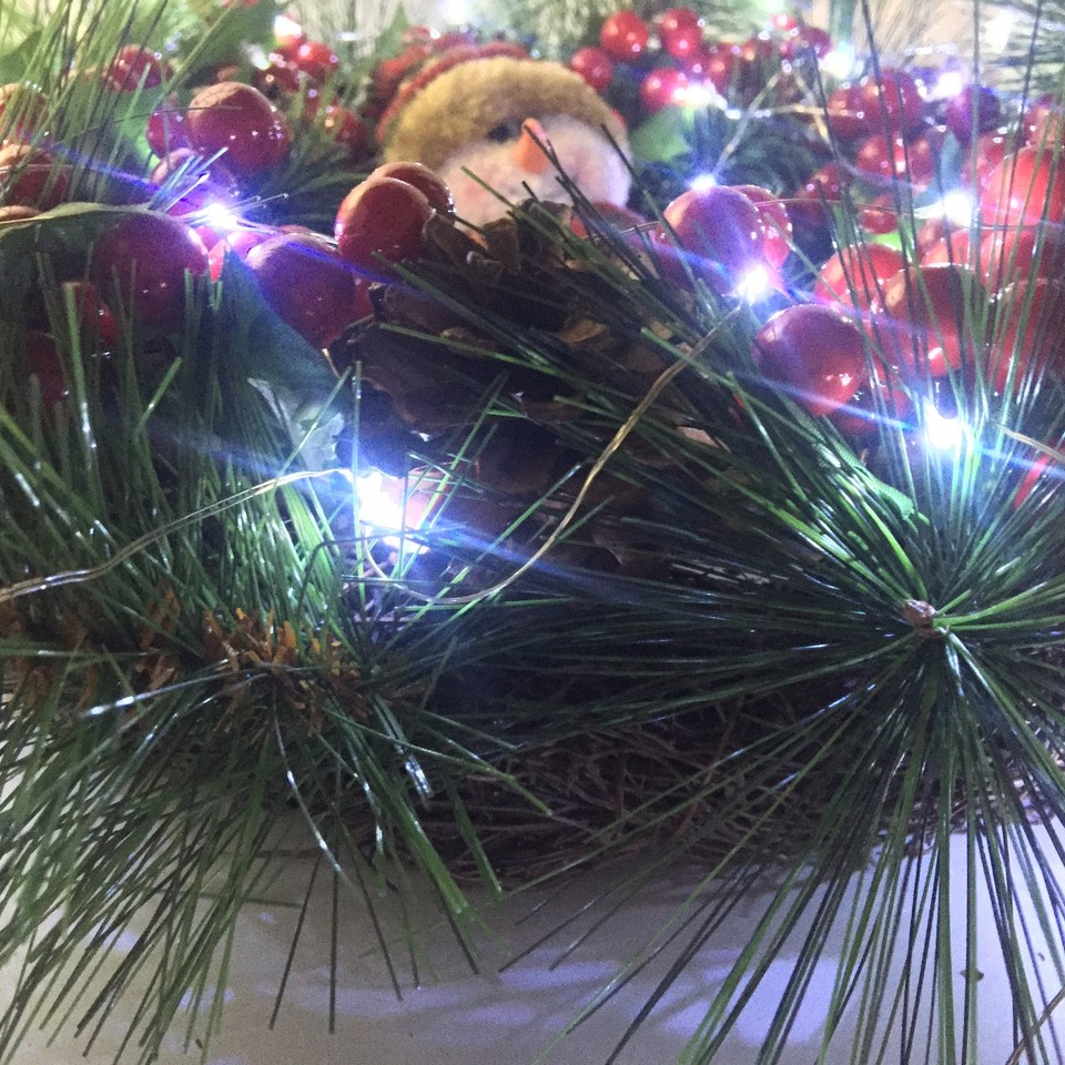 Set of 2 Battery Operated Small Lights Strand,Mini Led Fairy Lights ...