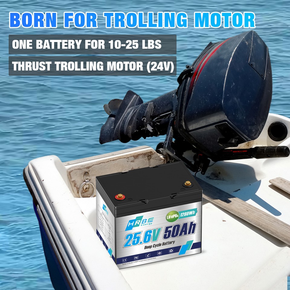 24V 50Ah LiFePO4 Lithium Battery 50A BMS 6000+Deep Cycles for Home RV ...