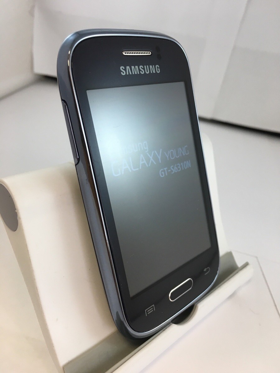 Samsung Galaxy Young Blue