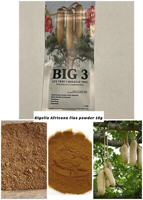 Kigelia Africana Male Enlargement 5x10g Powder- Female Breast & butt ...