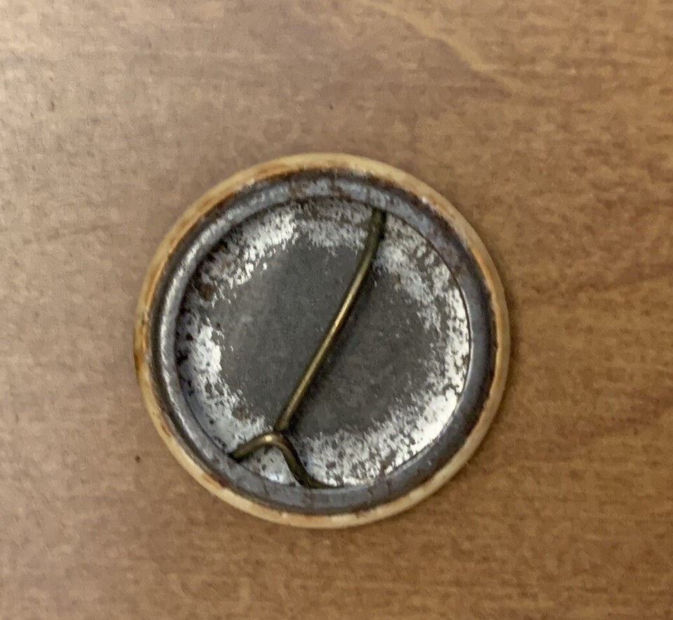 Antique AUDUBON SOCIETY Robin Bird Pin Back Button Round Lapel ...