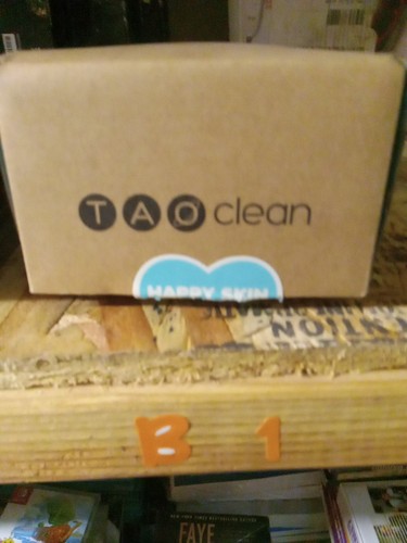 TAO Clean Replacement Daily Care Brush Heads, Replacement Heads - Newb1 | eBay