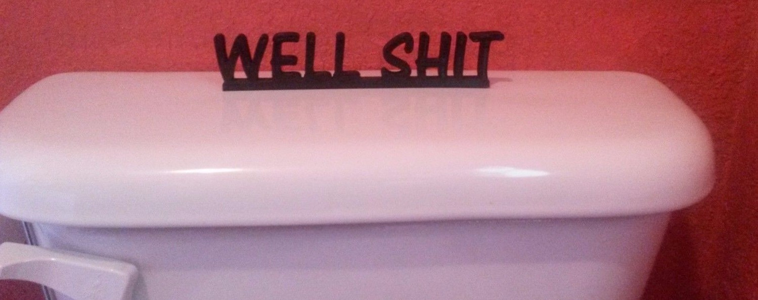 Well-Shit Sign Shelf Sitter Desktop Window Sill Decor Wall Hanging Word ...