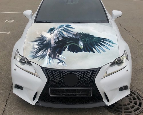 Eagle Car Hood Wrap Vinyl Decal Full Color Graphics Predator Bird ...
