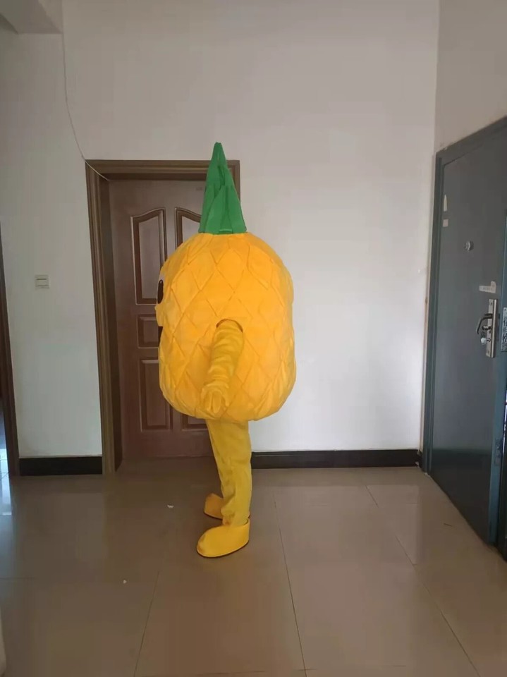 cartoon pineapple Mascot Costume Cosplay Party Dress Clothing Halloween ...