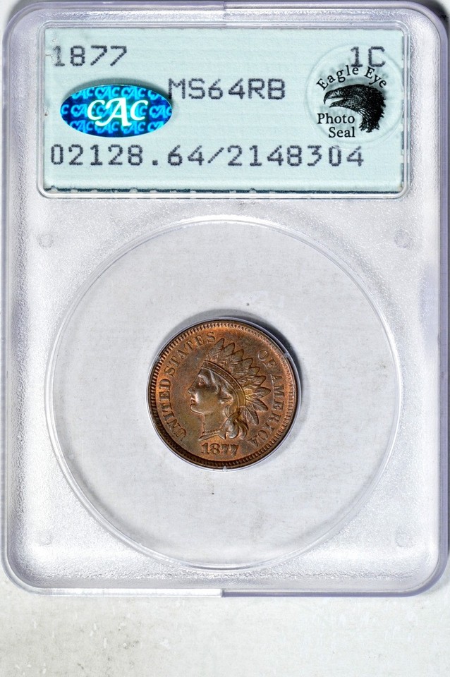 1877 1C Indian Cent **Rattler-Holder** PCGS MS64RB (CAC, PHOTO SEAL) | eBay